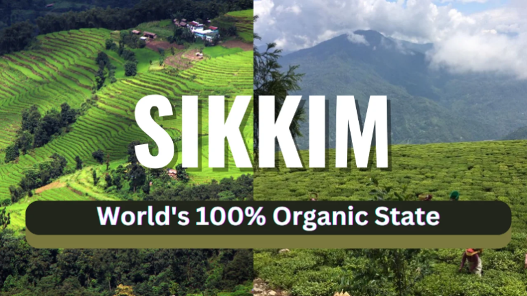 Sikkim's Journey Towards Becoming India's First Organic State